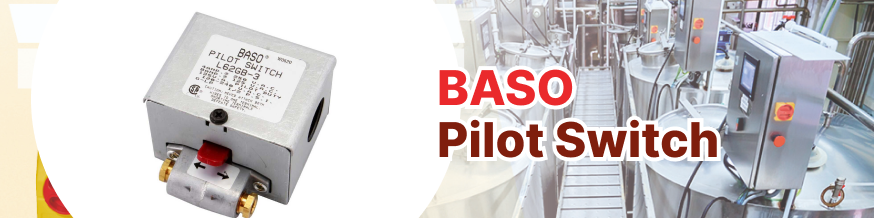 Baso pilot switch. Restaurant Equipment & Foodservice Parts - PartsFPS