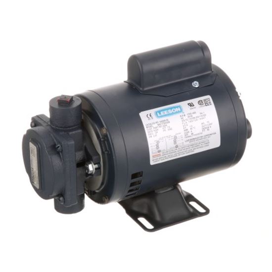 Filter Pump Motor, 1/2Hp , 110-115V/220-230V for AllPoints Part ...