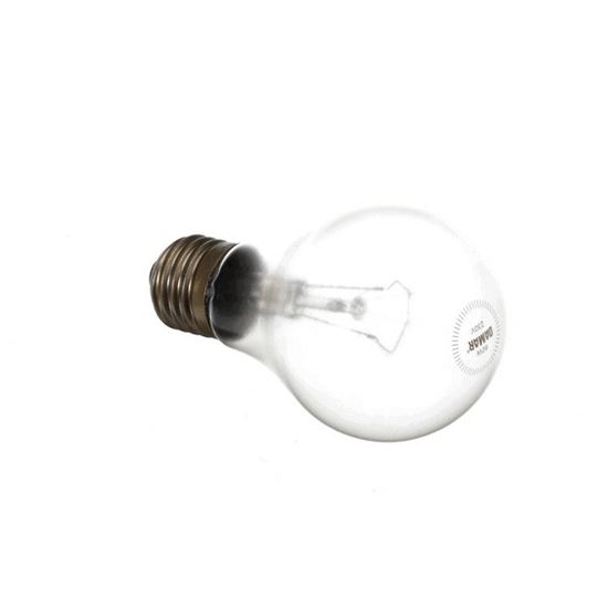 Bulb 60W 230V Safety Coated for Structural Concepts Part# 20-29814 ...